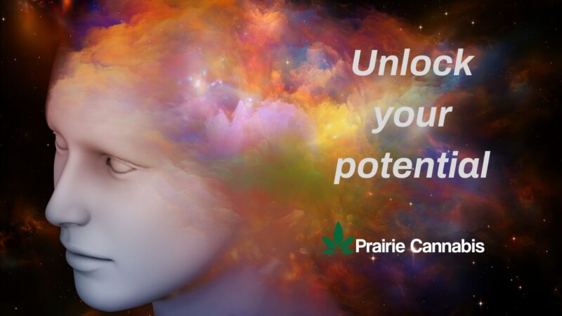 Understanding the Entourage Effect: Unlocking the Full Potential of ...